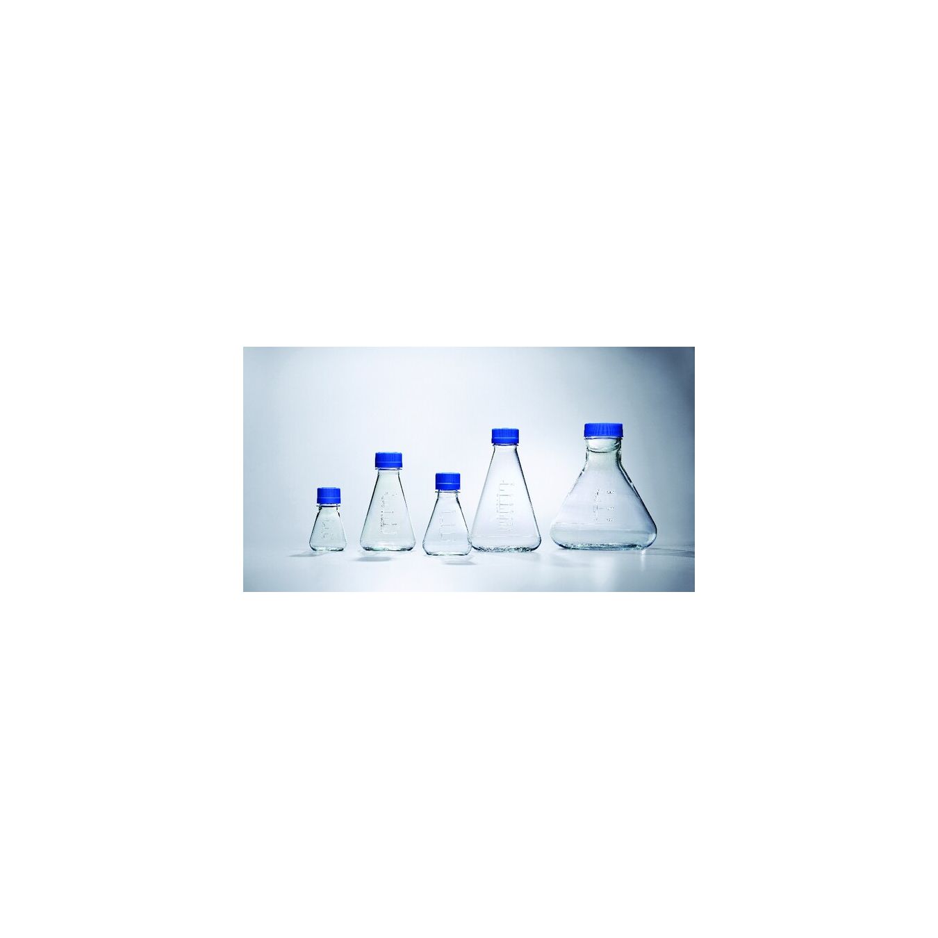 Thermo Scientific Nalgene Single-Use PETG Erlenmeyer Flasks with ...