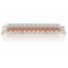 Thermo Scientific 96 Well Plate, Non-Treated, Non-Sterile, Pack of 10 ...